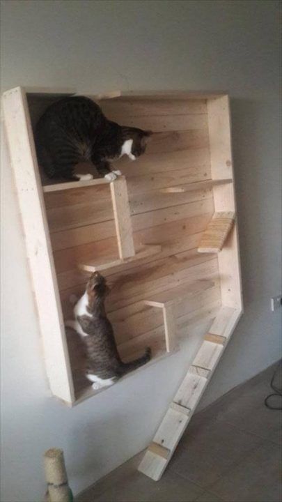 Reclaimed Pallet Cat Playhouse