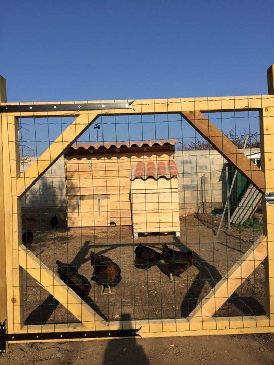 Pallet Chicken Coop - Easy to Do with Pallets