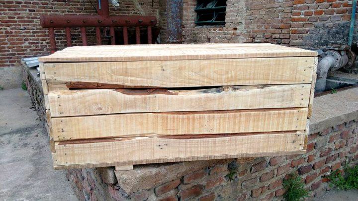 Pallet Trunk - DIY